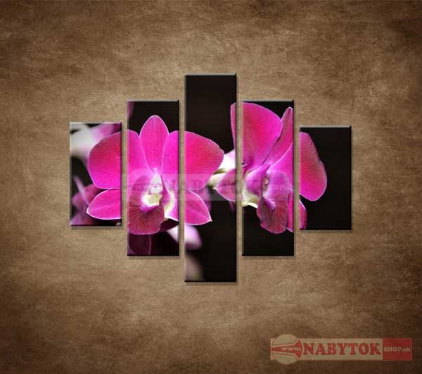 OBRAZ 5 DIELNY RUŽOVÁ ORCHIDEA NA ČIERNOM POZADÍ 100X80 CM - Obraz 5 ...