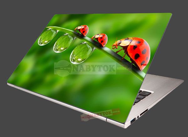Nálepka na notebook Lienky na liste - Nálepka na notebook ZVIERATÁ ...